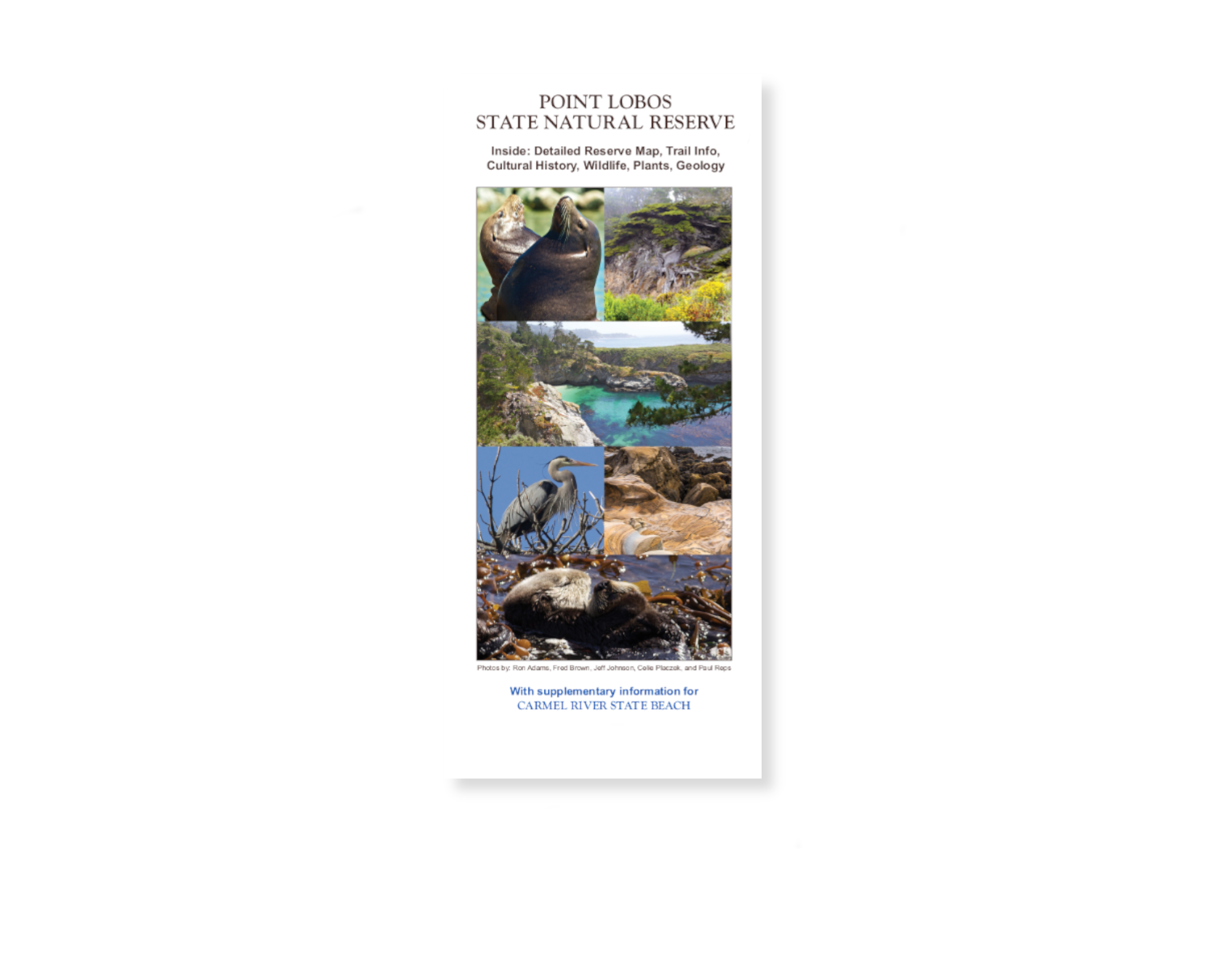 Map | Point Lobos Foundation